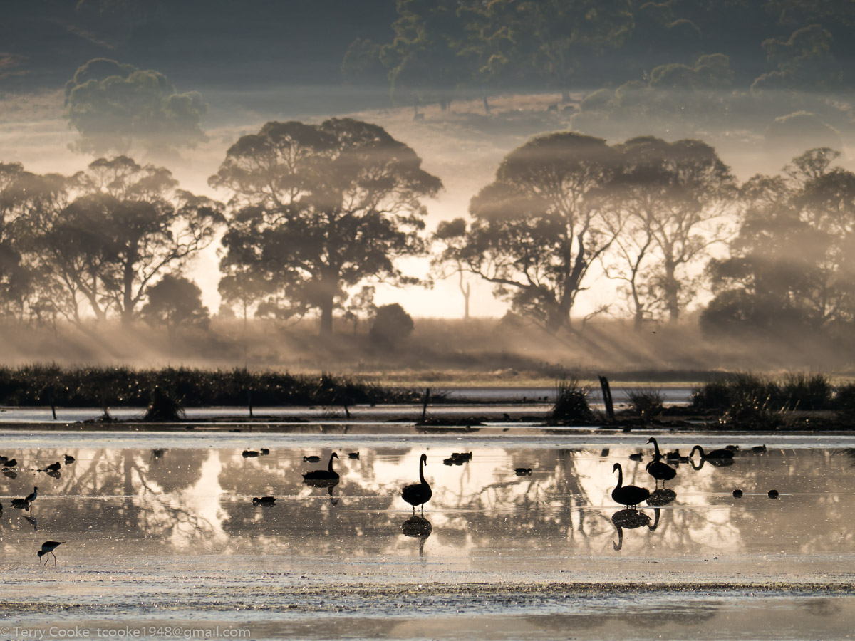 Local Highlight, Interview with Terry Cook UNE Alumni & Artist | UNE Life