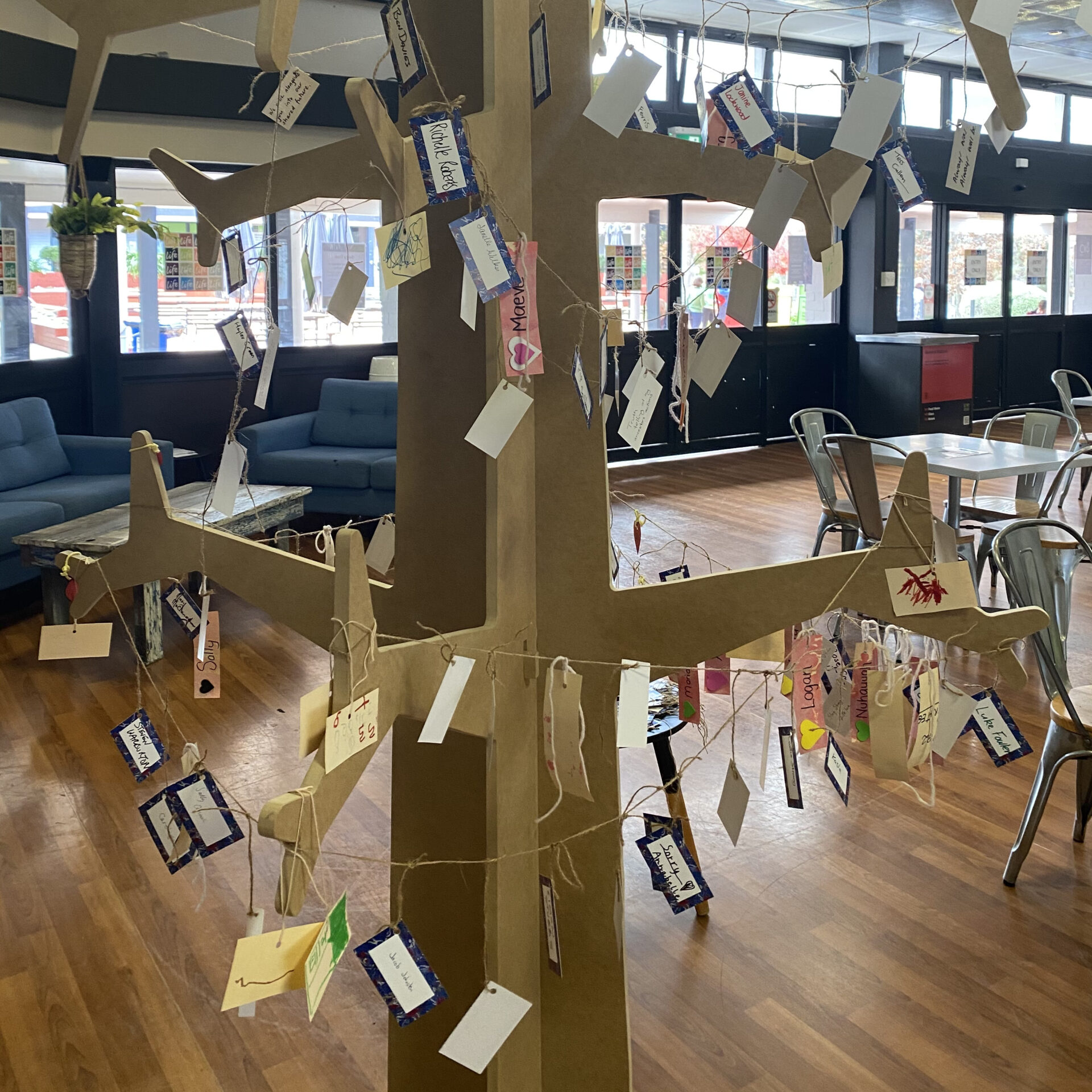 Add a message to the Digital Sorry Tree at UNE | UNE Life